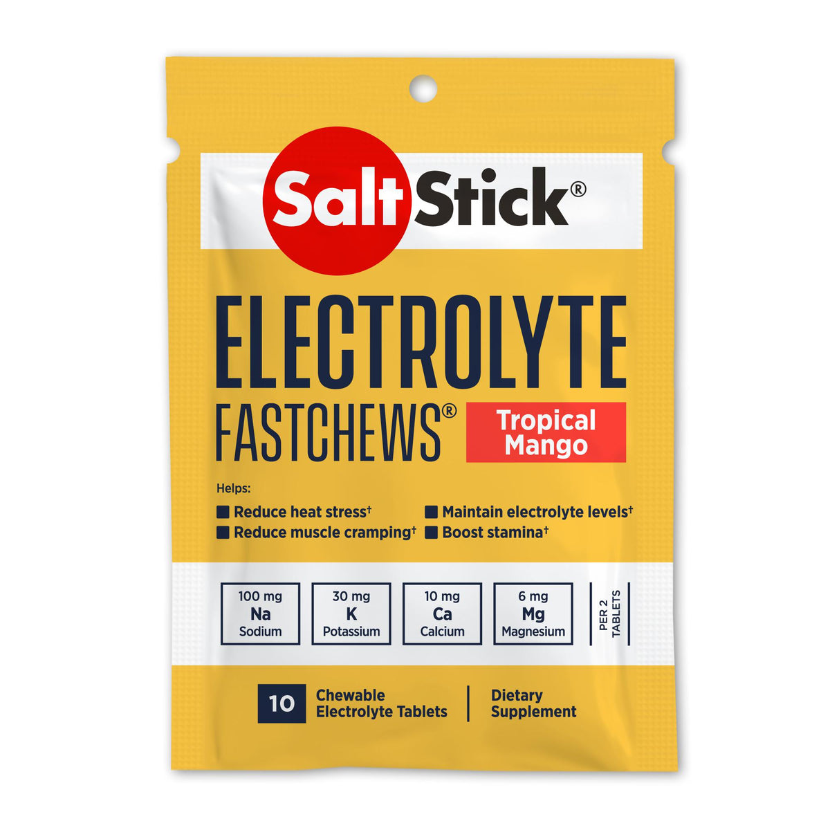 SaltStick FastChew 10 Tabs– Bigbigplace.com